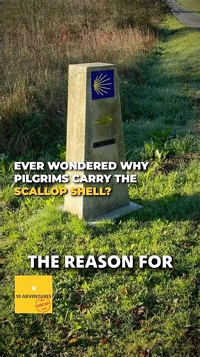 Ever wondered why pilgrims carry the scallop shell?