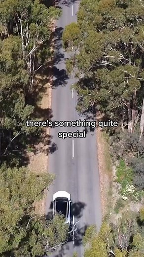 1.8K views · 7 comments | 藍 If this doesn’t trigger the haters, I don’t know what will  CHECKS THE COMMENTS  #tesla #parody #funny #zeroemissions #teslamodely | Ryan’s Model Y | Facebook