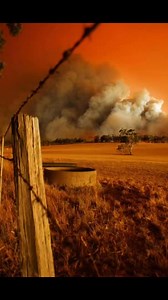 219K views · 7.4K reactions | A few more for your viewing pleasure | Australian Outback Photography | Facebook