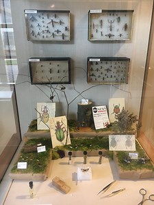 Insect Biology - Smithsonian Mason School of Conservation