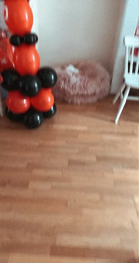 Celebrate My Birthday with One Direction Spaces 🎉