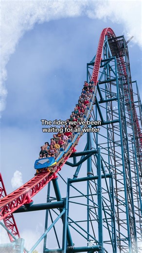 Spring Awakens: Time to Defrost Your Favorites