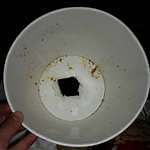 Сотрудник кинотеатра нашел это во время уборки зала после фильма "50 оттенков серого" / 50 оттенков серого :: кино :: смешные картинки (фото приколы)