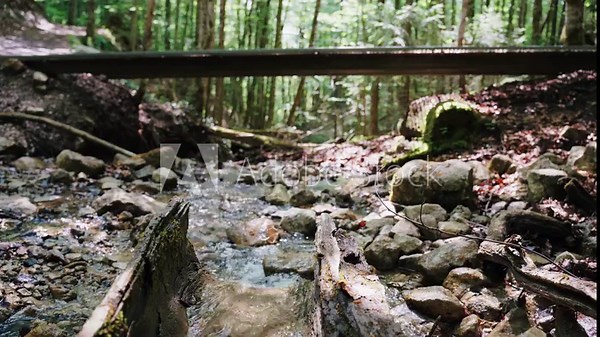 close up Water streaming in a piece of wood with a small bridge in front of trees in the bokeh background, three people walking across the bridge_