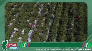 1.1K views · 14 reactions | " FUETAZOS " POLÍTICOS ANTE TANTAS DECEPCIONES Y FRUSTRACIONES, LLEGÓ EL MOMENTO DE LA GENTE, JOSÉ VICENTE, ESE, EL QUE QUIERE LA GENTE. Jose Vicente Marin Perea #OportunidadesParaTodos | El Fuete Noticias | Facebook