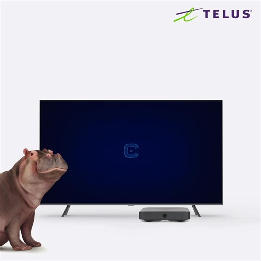 Don't miss the hottest new and returning original series from HBO and HBO Max this year. Add Crave to Optik TV today. | TELUS