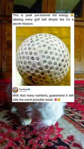 A Funny Little Golf Ball Moment