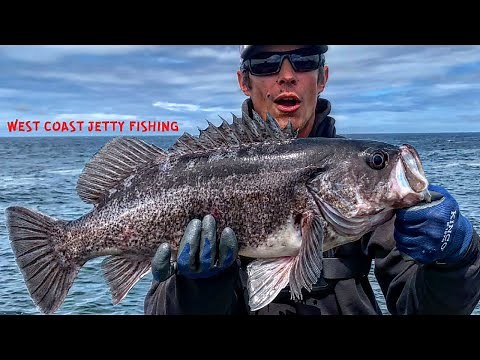 EXTREME Jetty Fishing ACTION! | I Will NEVER Experience A Day Of Jetty Fishing Like This Again!