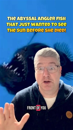 The Abyssal Angler fish that just wanted to see the light before she died. The most poetic thing fro | Untold Stories of History