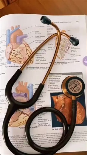 LITTMANN CLASSIC III Chocolate gold special Edition STETHOSCOPE 🩺Littmann stethoscope Classic III provides the level of acoustics needed for doctors & and students. It includes Master Cardiology , Classic llll & Pediatric Models IN ALL COLOURS. Give your Profession an Elite Look by wearing New Littmann special Edition Stethoscopes! • MADE IN USA • 3M OFFICIAL WARRANTY* • MONEY BACK GURANTEE* •CAN VISIT US AT OUR STORE IN • SIALKOT •WE HAVE AN OPTION CUSTOMIZED NAME ENGRAVING 🛒 DM TO PLACE ORDE