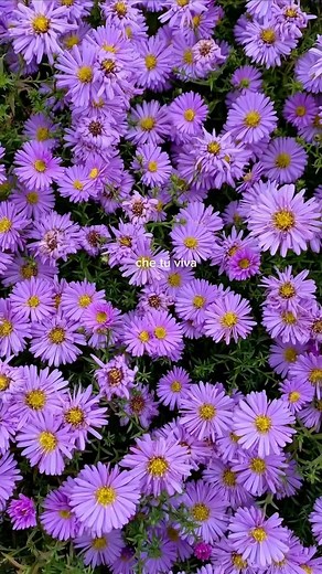 Nicholas Zago | per una vita spettinata🤍 | Instagram