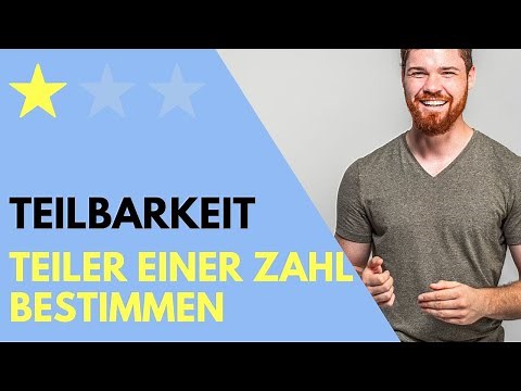 Teiler einer Zahl bestimmen, Primfaktorzerlegung, Primzahlen + Beispiele