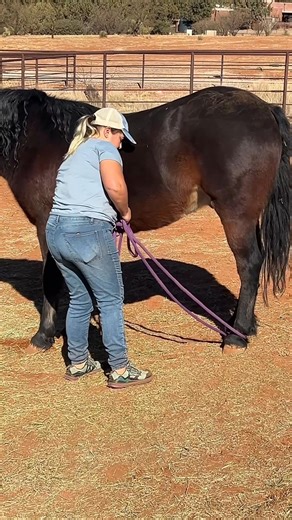 A look at today’s foot session. I have done lots of prep to get him ready for this. It is all documented in previous posts. What I am doing here would not be safe if the prior prep had not been completed | Scout's Trail