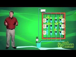 Window Farms: REALLY Local Food!