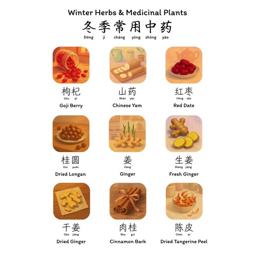 Chinese Medicine Poster for Kids – Winter Herbs, Bilingual Wall Art (PDF)