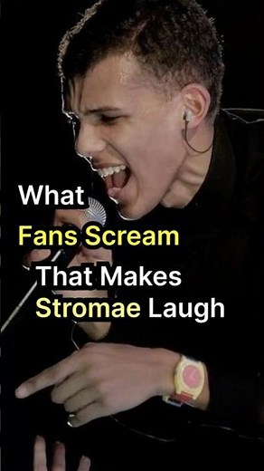 The Funniest Thing Fans Scream During Concerts That Makes Stromae Laugh🤣!