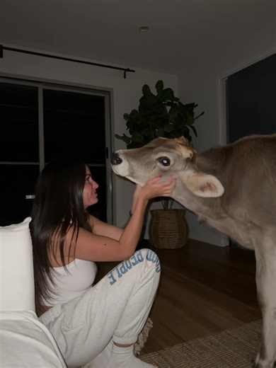 #cow #cowgirl #country #countrymusic #countrygirl4life #countrygirlsdoitbest #countrygirl #animals #animalsoftiktok #rescuecowsoftiktok #rescuecow #love #farm #farmlife #farmtok