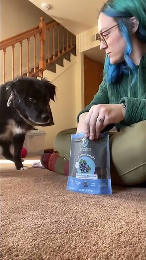 How I live zero waste with pets: treat edition!