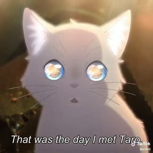 A Whisker Away Ending Scene Meme