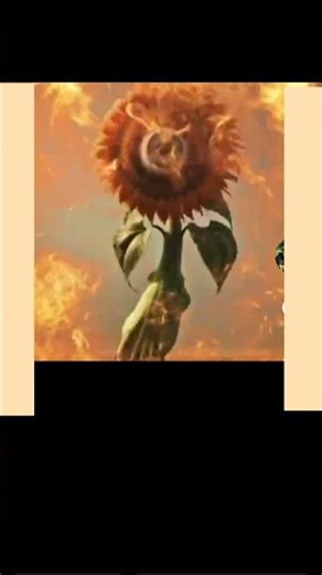 unga unga bunga bunga