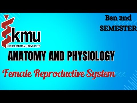 Female Reproductive System | A & P | Bsn | Post RN