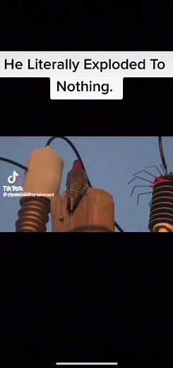 Golden Wolrd on TikTok