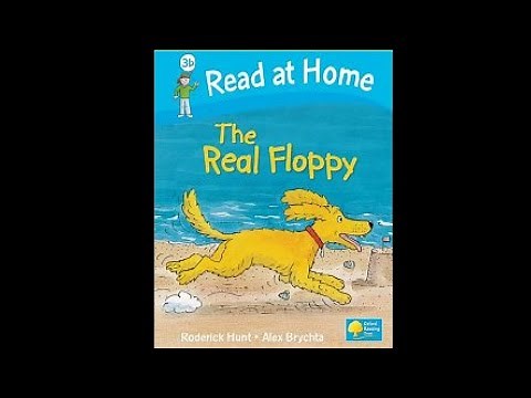 Level 3b - The Real Floppy - Read at Home