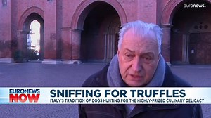 Truffle hunting gets the UNESCO treatment after centuries of know-how