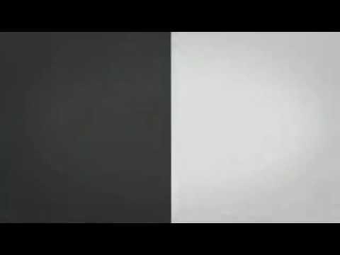 CN CHECK it 1.0 Bumpers (Extended)