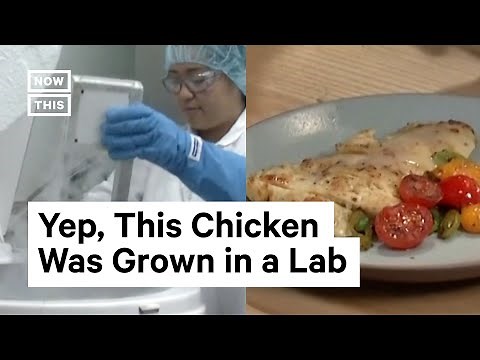How Chicken Is Being Grown in Labs