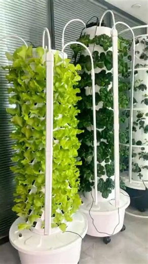High-Density Hydroponic Tower Farming | Grow More with Less Space #hydroponics
