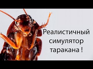 Реалистичный симулятор таракана ! ( Cockroach Simulator )