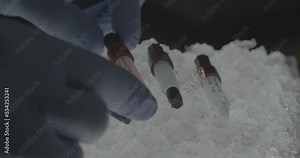 test tubes for research, blood test values, laboratory of science