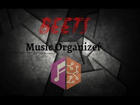 Beets Music Organizer