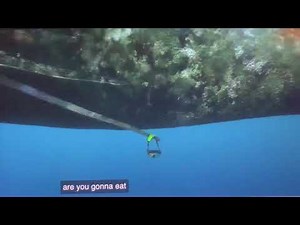 Finding Nemo lost the mask