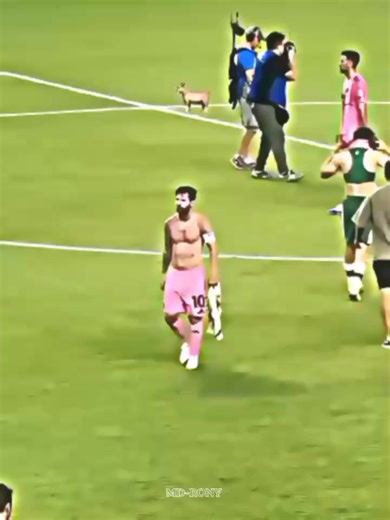 Messi's Incredible Plays Compilation