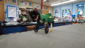 High school robotics team gets two-legged dog back on her paws with new 'wheelchair'