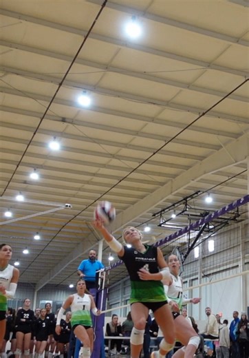 One Hand Wonder! 🖐️✨ @Pineapple High Performance VB 17’s team turning heads at the Early Bird Tournament!🔥 This libero said, ‘Not today!’ A block turns into an assist, and the outside finishes like a pro. 🏐 And can we talk about these 🔥🔥 uniforms from @All Volleyball? Looking like champions while playing like champions! 💪 Where champions really go for gold! 💛 #PineappleHP #EarlyBirdTournament #USAV #AAU #WhereChampionsGoForGold #Volleyball #ClubVolleyball #Vball #Gamechanger #VolleyballWo