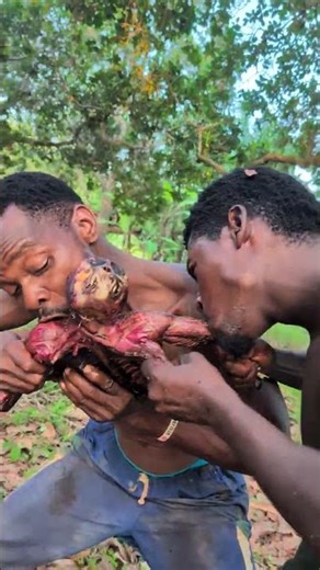 Monkey meat: a deep-rooted tradition, a forest delicacy.