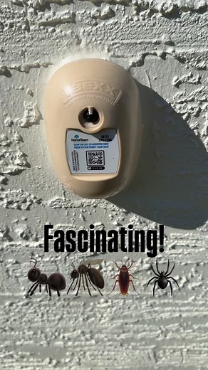 Did you know some of Adams Homes new builds in Ocala, FL now come with a built-in pest control system? 👀🐜 Meet the Taexx System — an in-wall, hidden network designed to create a virtual barrier and keep pests out before they ever become a problem. ✨ Installed inside the walls during construction ✨ Perforated tubing distributes treatment where pests live ✨ Exterior service ports—meaning treatments happen from outside your home ✨ Cleaner, safer, and completely discreet If you’ve ever wanted a ho