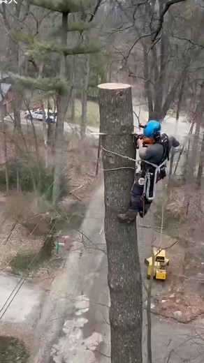 7409780112645934382- Hello everyone... #filmfestival #artist #design #skeleton #horrormovies #movies #movie #atlanta #instagood #horrormovie #drama #hollywood #halloween #painting #cinema #spooky #horrorfan #scary #makeup #creepy #love | Clinton Seyler | Facebook