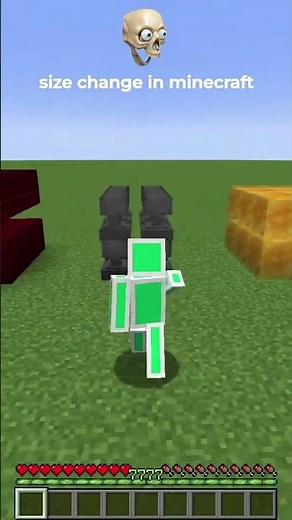 epic size change in minecraft 🤏🤯