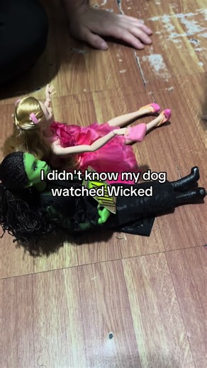 I gotta take her to watch for good now 😞 ||#fyp #foryou #wicked #wickedforgood