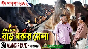 5M views · 172K reactions | “ঈদ ধামাকা ২০২২” এ যেন শাহিওয়াল ষাড় গরুর মেলা । আলমগীর রেঞ্চ রংপুর । | R.I Manik Chitrapuri | Facebook