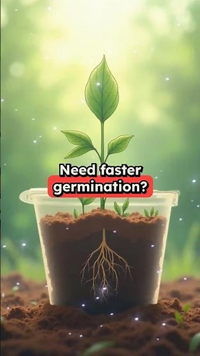 Revive Your Plants with Hydrogen Peroxide!