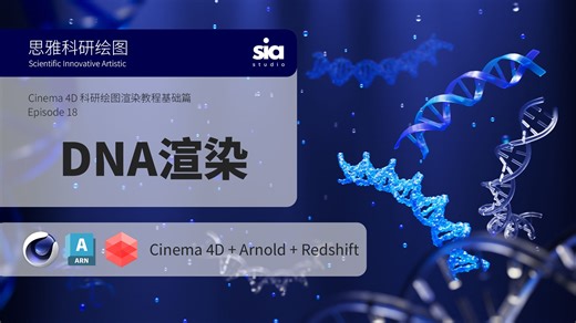 C4D科研绘图渲染教程基础篇 19 DNA场景 Arnold Redshift 渲染