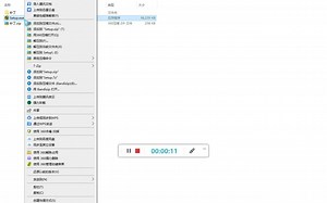 IDM UltraEdit Professional v29.1.0.100