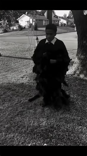 Itachi Uchiha Crows trend Dreamina. How to make a Dreamina trend. Itachi Uchiha Crows photo filter Instagram trend. Itachi Uchiha Crows filter in the Dreamina app. How to make a Dreamina Itachi chiha Crows filter photo. Dreamina Itachi #uchiha Crows filter photo tutorial. How to create the Dreamina Itachi Uchiha Crows photo trend. How to use the Dreamina Itachi Genjutsu filter. Dreamina Itachi Uchiha Crows filter photo template. Instagram anime ninja animation effect. AI Itachi Crows effect phot