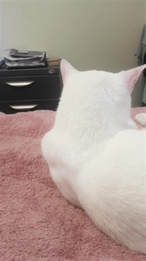 Debra Lucas (@down_under_deb)’s videos with original sound - Debra Lucas