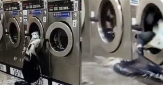 'Glass shards flew everywhere': Washing machine 'explodes' after laundromat customers try to wash baby playpen